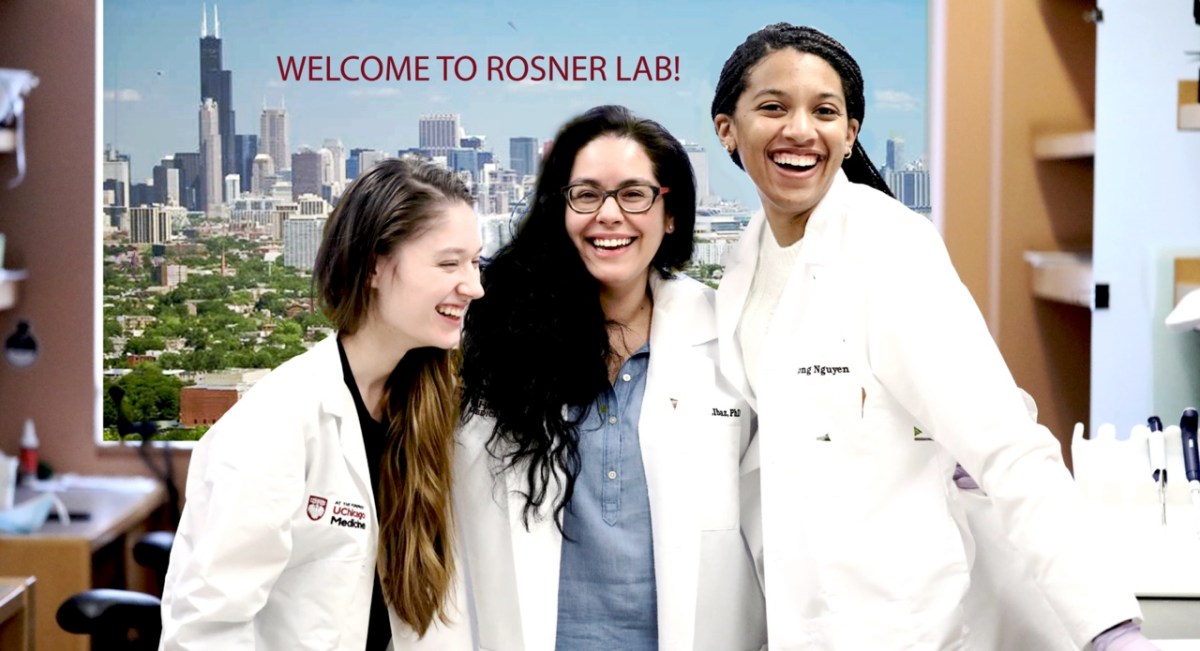 Now hiring! – ROSNER LABORATORY